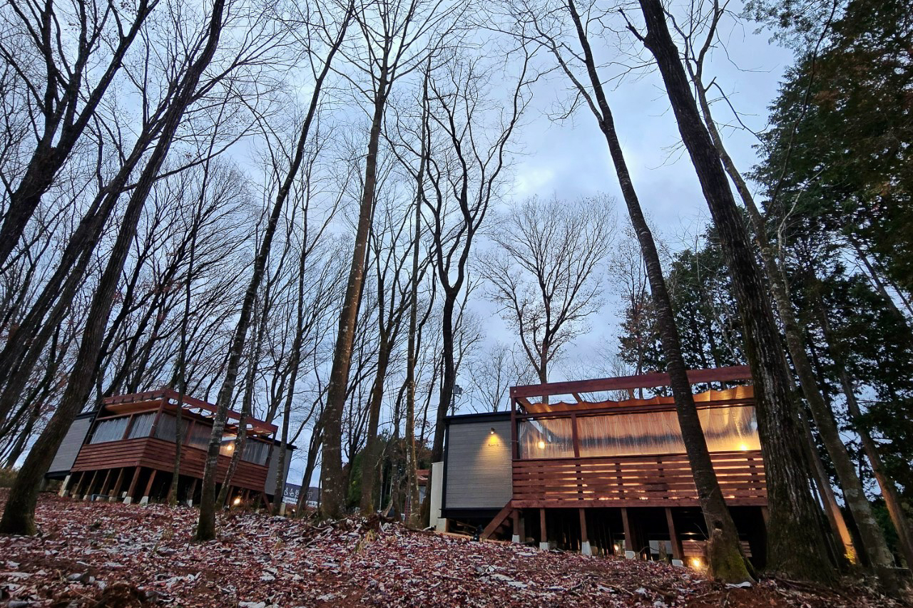 愛犬と特別なひとときを過ごせる新感覚リゾート「NAGI dog glamping ena」 | 東美濃観光ガイド